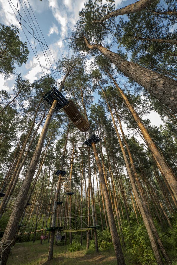 Obstacle Course, Rope Park among the Trees in the Forest Stock Photo ...