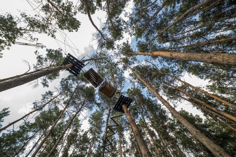 Obstacle Course, Rope Park among the Trees in the Forest Stock Photo ...