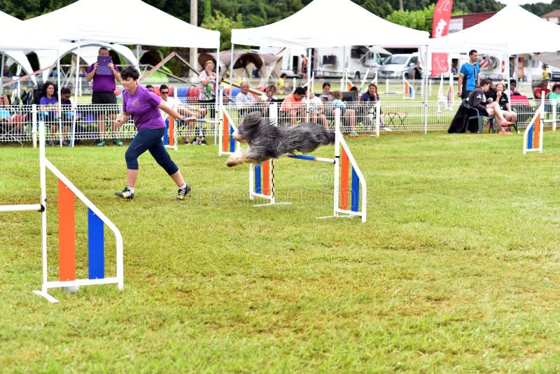 The Obstacle Course, Santander, Cantabria Editorial Photo - Image of ...