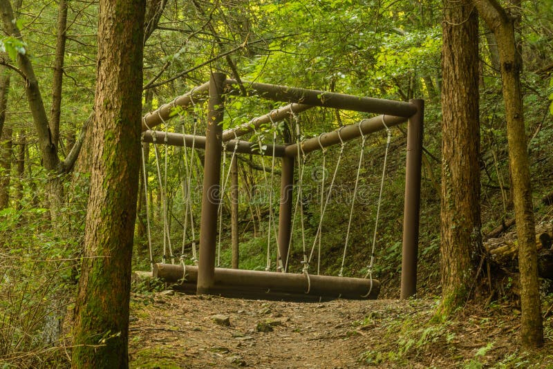Obstacle Course Training Apparatus on Hiking Trail Stock Photo - Image ...