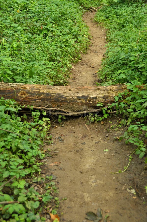 Obstacle on a path stock image. Image of direction, holiday - 44713797