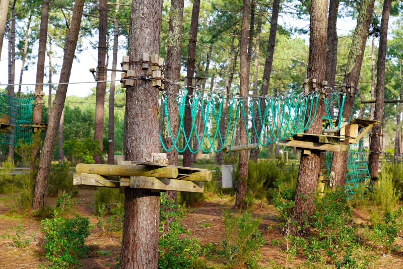 Obstacle Tree Climbing Course in Adventure Park Stock Photo - Image of ...
