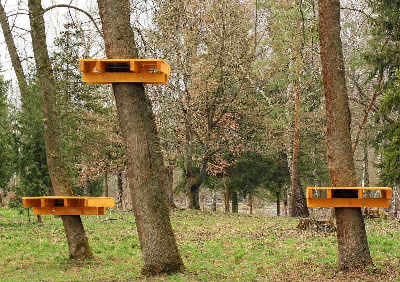 Obstacle stock photo. Image of training, tourism, moving - 39830868