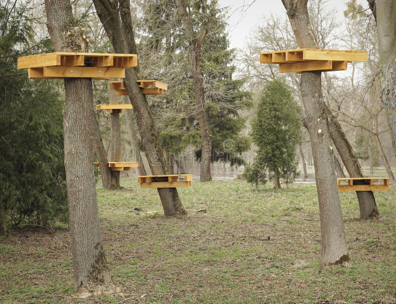 Obstacle stock photo. Image of adventure, overcoming - 55249944