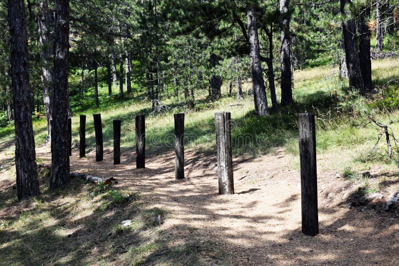 Obstacles for Crossing and Training in the Forest Stock Image - Image ...