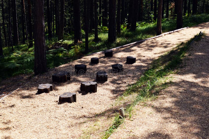 Obstacles for Crossing and Training in the Forest Stock Image - Image ...