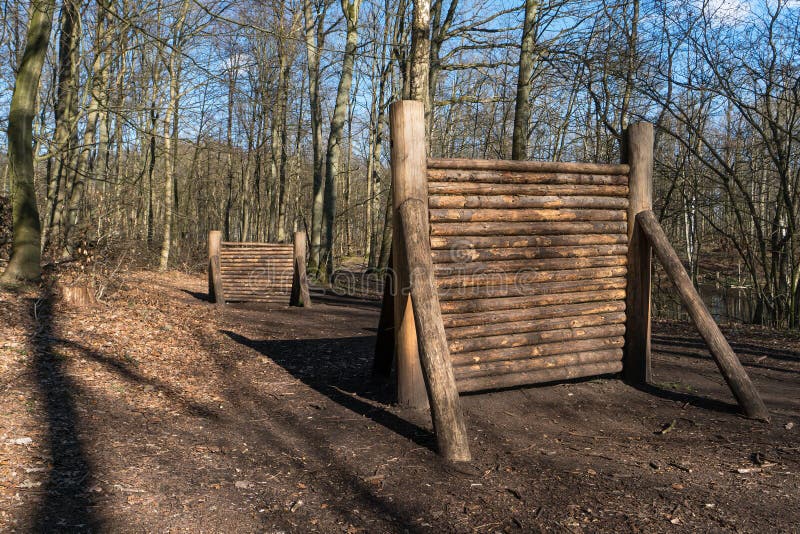 Obstacles in the forest stock image. Image of obstacle - 177485047