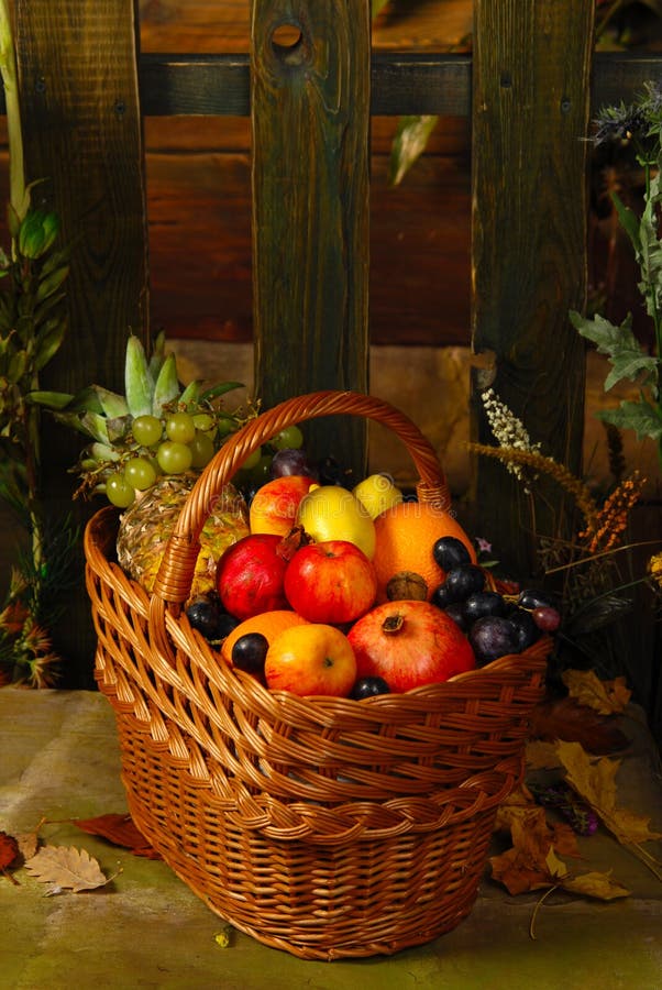 Obstkorb stockfoto. Bild von organisch, wildnis, dunkel - 34804988