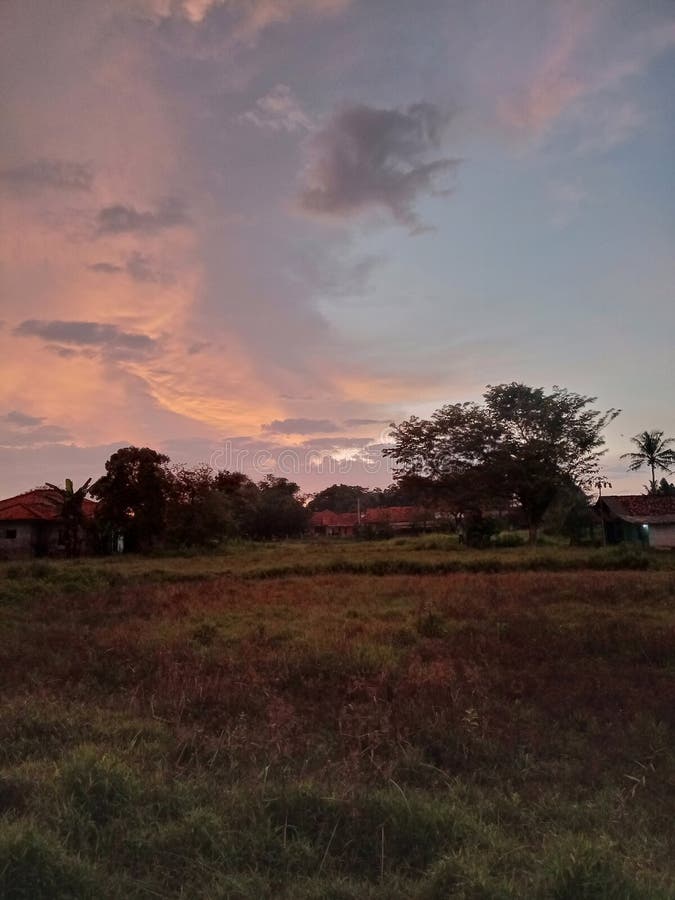 Obstructed sunset stock photo. Image of dawn, savanna - 265702196