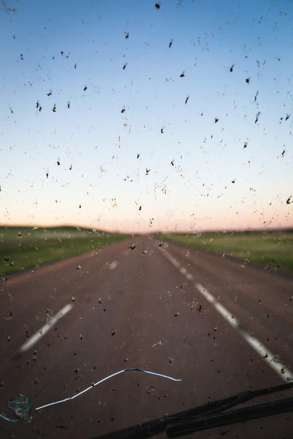 Dead Bugs Splattered Windshield Stock Photos - Free & Royalty-Free ...