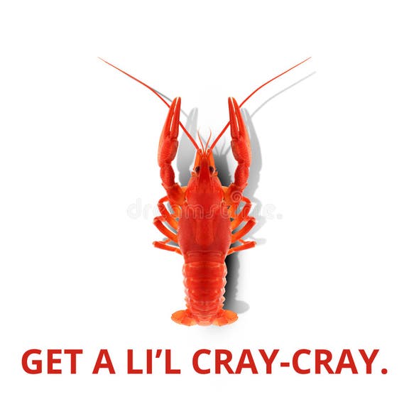 Obtenha Lil Cray Cray ilustração stock. Ilustração de lista - 78981105