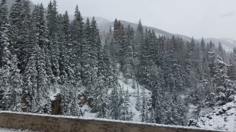 Obvious Effects Stock Photos - Free & Royalty-Free Stock Photos from ...