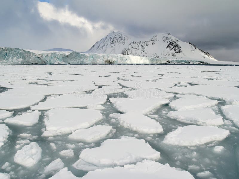 Océan Arctique - Banquise Sur La Surface De Mer Photo stock - Image du ...