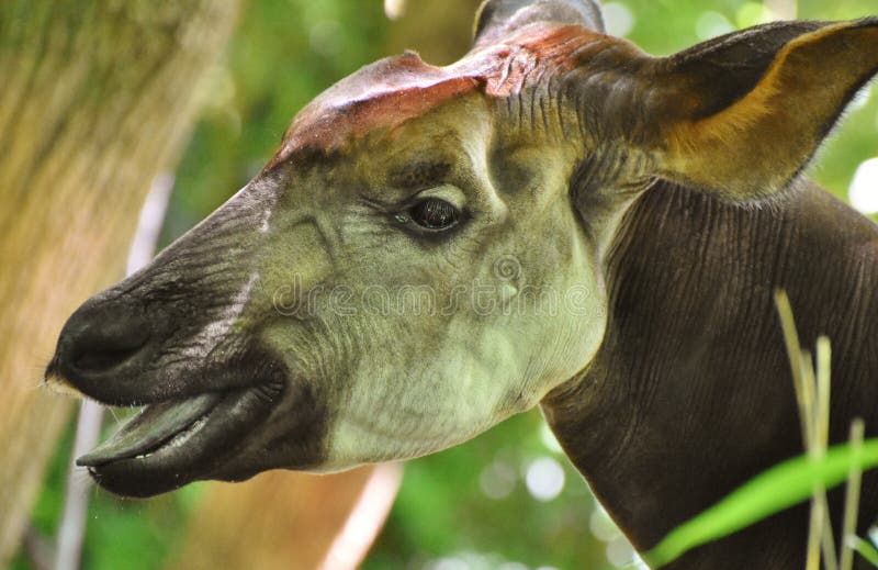 {número} Fotos de Stock de {palavra-chave} - Fotos de Stock Gratuitas e ...