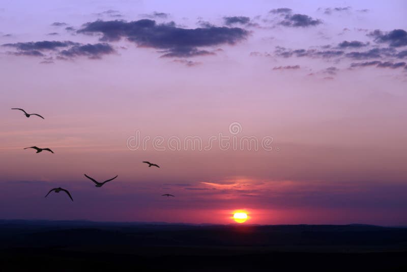 Ocaso Y Salidas Del Sol El Cielo Azul Marino Con Mucho Se Nubla ...