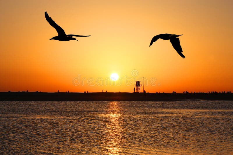 213,627 Ocaso Fotos de stock - Fotos libres de regalías de Dreamstime