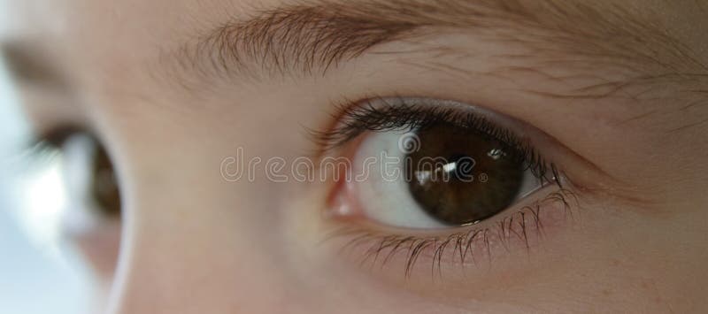 Occhi del bambino immagine stock. Immagine di pelle, marrone - 2118477