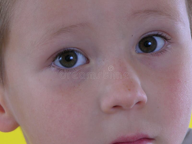 Occhi di Ragazzo fotografia stock. Immagine di occhi, ragazzo - 356080