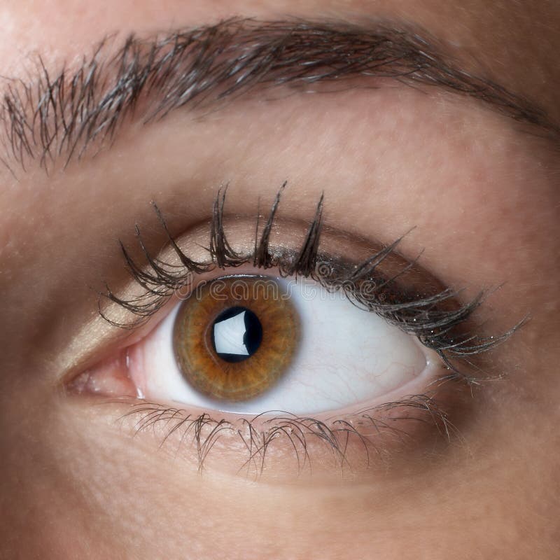 Occhio Umano Che Guarda a Giù Immagine Stock - Immagine di giù ...