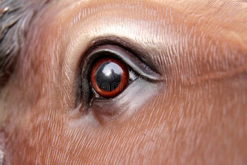 Testa del toro immagine stock. Immagine di toro, maschio - 52503491