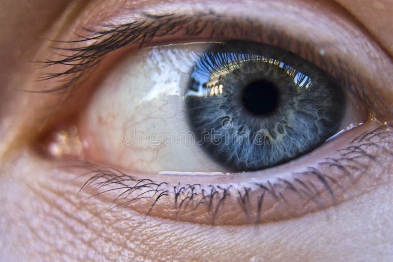 Occhio blu dell'uomo fotografia stock. Immagine di espressione - 47227120