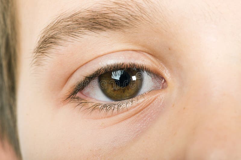 Occhio Umano Che Guarda a Giù Immagine Stock - Immagine di giù ...