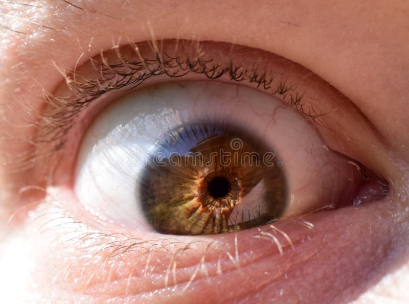Occhio Umano Con Le Pupille Dilatate Fotografia Stock - Immagine di ...