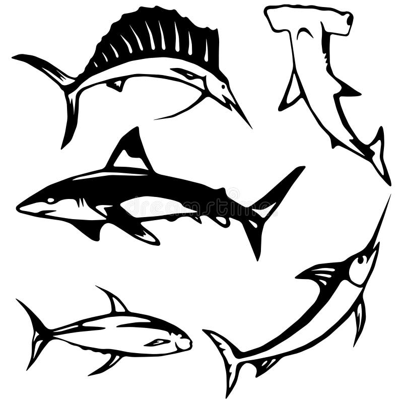 Oceaan vissen vector illustratie. Illustration of haai - 4056663