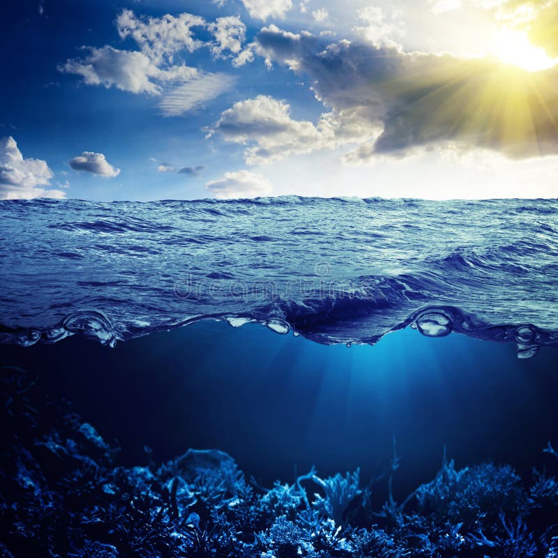Ocean above and below stock photo. Image of subsurface - 26189336 Ocean above and below stock photo. Image of subsurface - 26189336