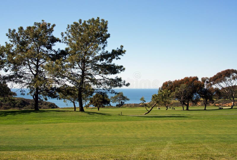 The Ocean Across the Fairway Stock Photo - Image of golfer, play: 29544864