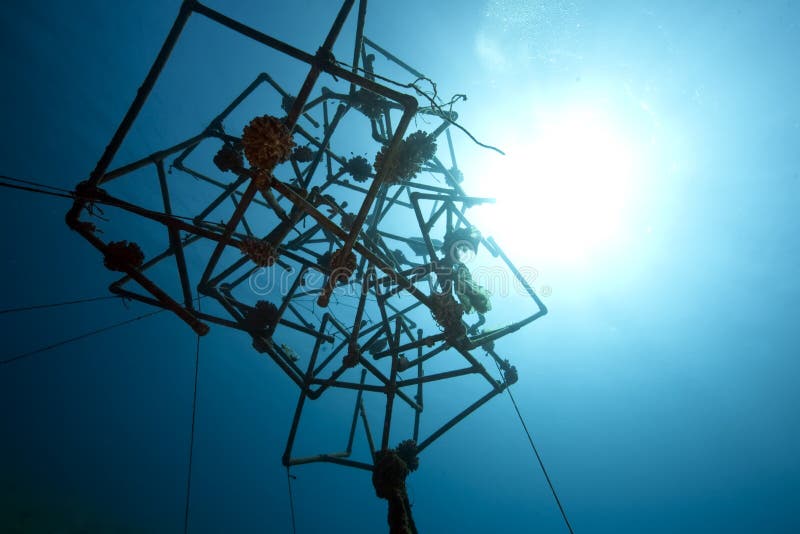 Ocean and artificial reef stock photo. Image of ocean - 10901282