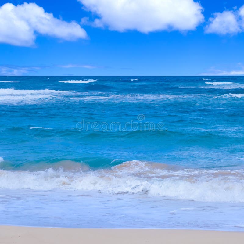 Clear ocean water stock photo. Image of summer, light - 50359256