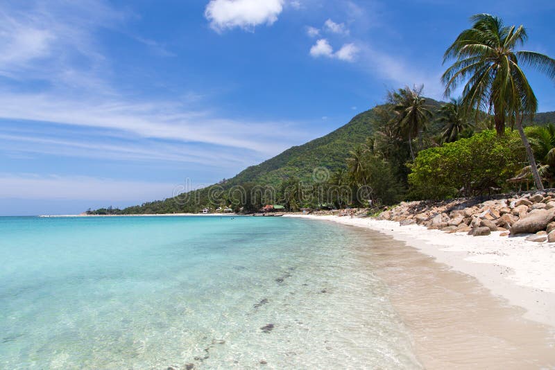 Ocean bay with palm trees stock image. Image of ocean - 34134739