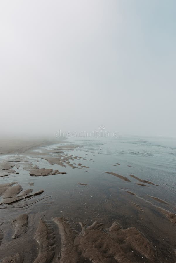Ocean beach in dense fog stock image. Image of outdoor - 243375293