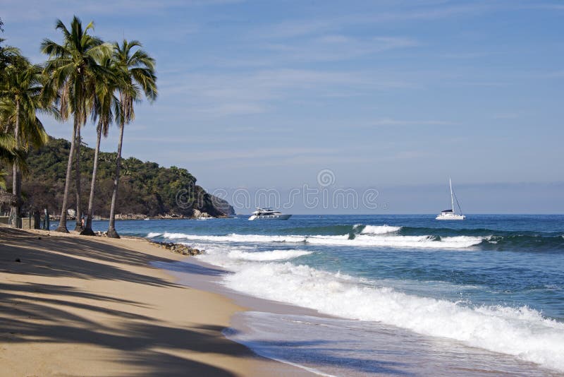 Ocean beach in Mexico stock photo. Image of tropical - 92843890