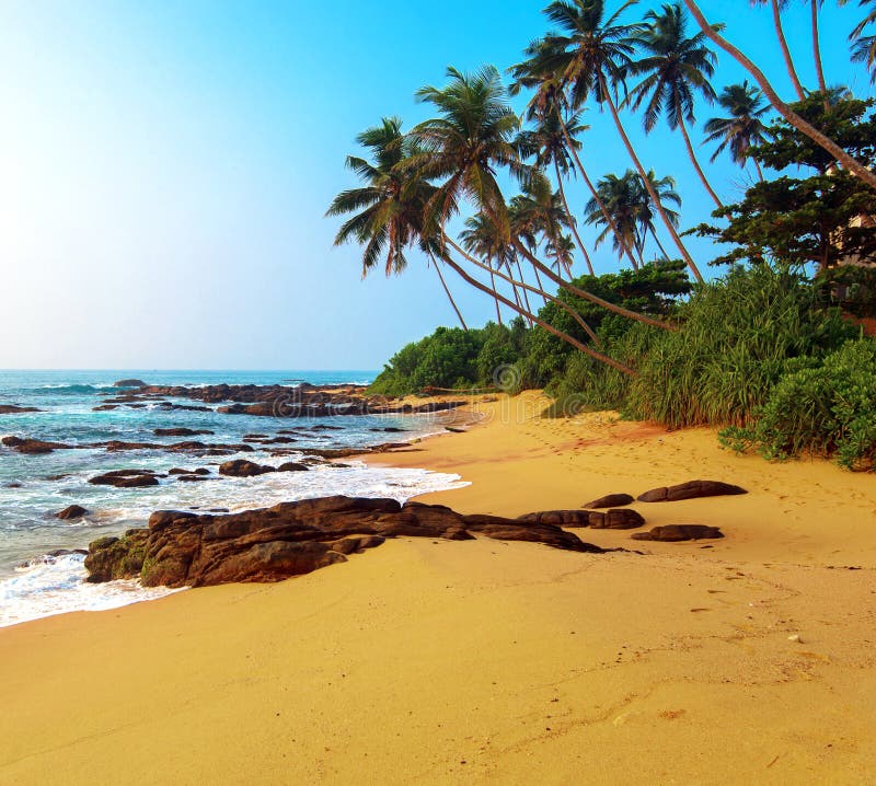 Ocean Beach Sri Lanka stock image. Image of holiday, asian - 65312343