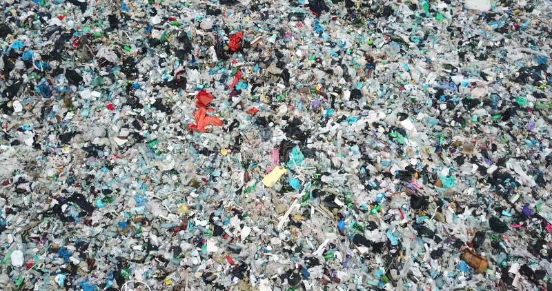 Contaminated Ocean Beaches with Plastic Debris. Plastic Waste ...