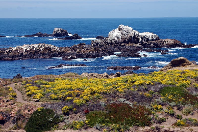 Ocean Beauty stock photo. Image of coast, pacific, cliff - 136278