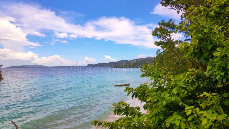 Ocean from behind tree stock photo. Image of shore, tree - 179243306
