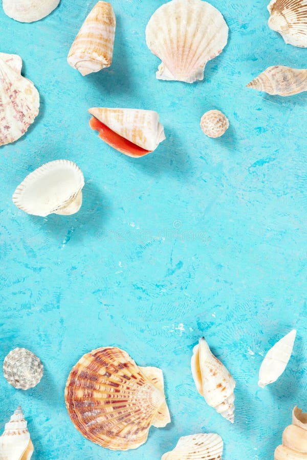 Ocean Brochure Cover with Sea Shells, Top View, Copy Space, a Flat Lay ...