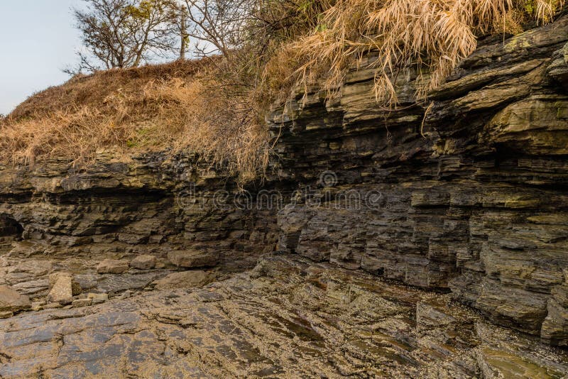 Ocean Cliff of Stratified Geological Rocks Stock Image - Image of ...