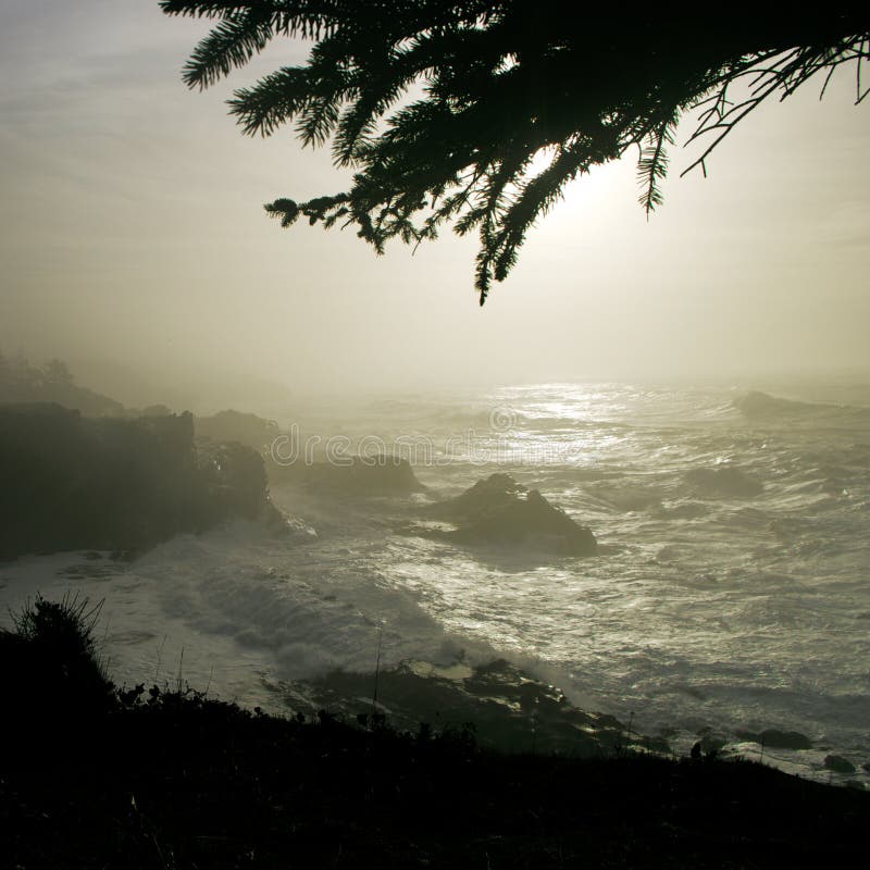 Ocean Cliff View stock image. Image of wave, nature, view - 22741013