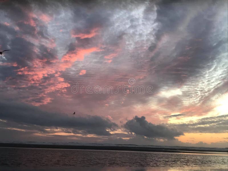 Ocean cloudy Rose Sunrise stock image. Image of sunrise - 253950159