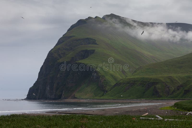 Ocean Coast, Commander Islands Stock Photo - Image of color, nature ...