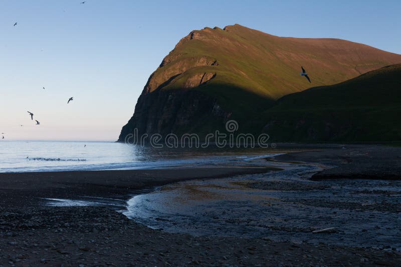 Ocean Coast, Commander Islands Stock Image - Image of summer, coastline ...