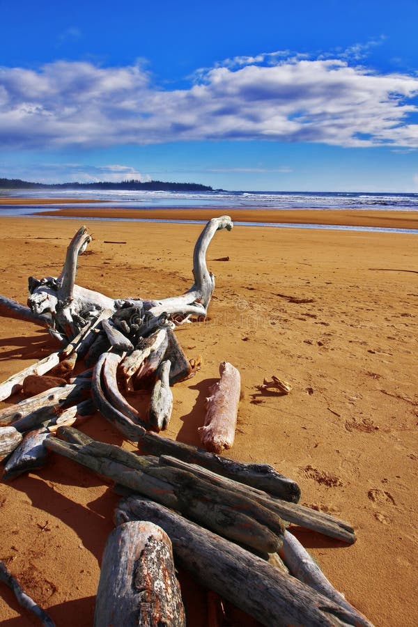Ocean Coast on Island Vancouver Stock Photo - Image of blue, nature ...