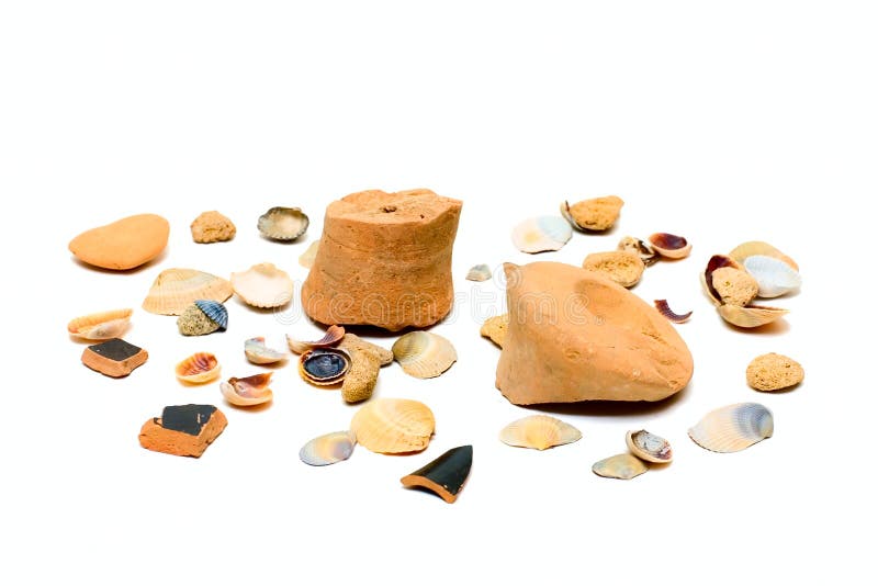 Ocean cockleshell stock image. Image of roll, rough, marine - 7173387