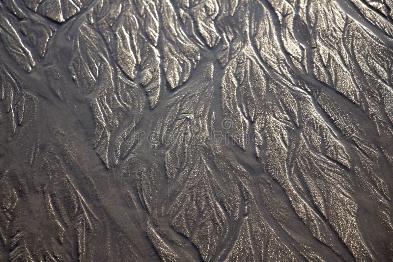 Ocean Created Patterns in the Sand Stock Image - Image of roots, ocean ...