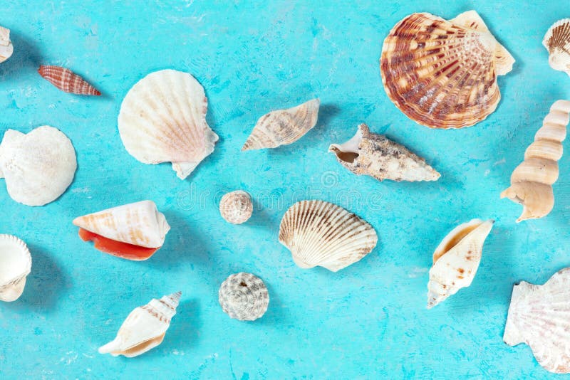Ocean Design with Sea Shells and a Place for Text, Top Shot Stock Photo ...