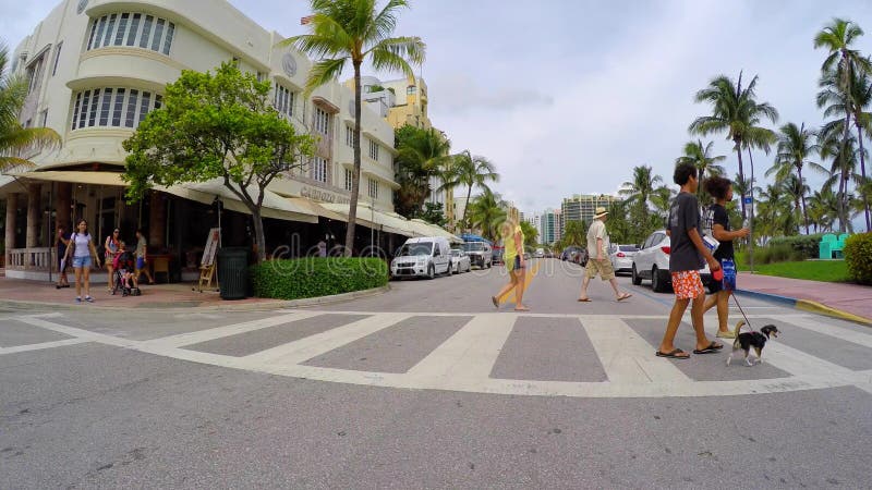 Miami Beach Winter Tourism 4k HDR Video Stock Footage - Video of miami ...